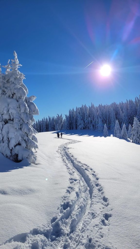 Drumeție în Munții Cindrel - pe dealurile Săliștei - Anii Drumetiei